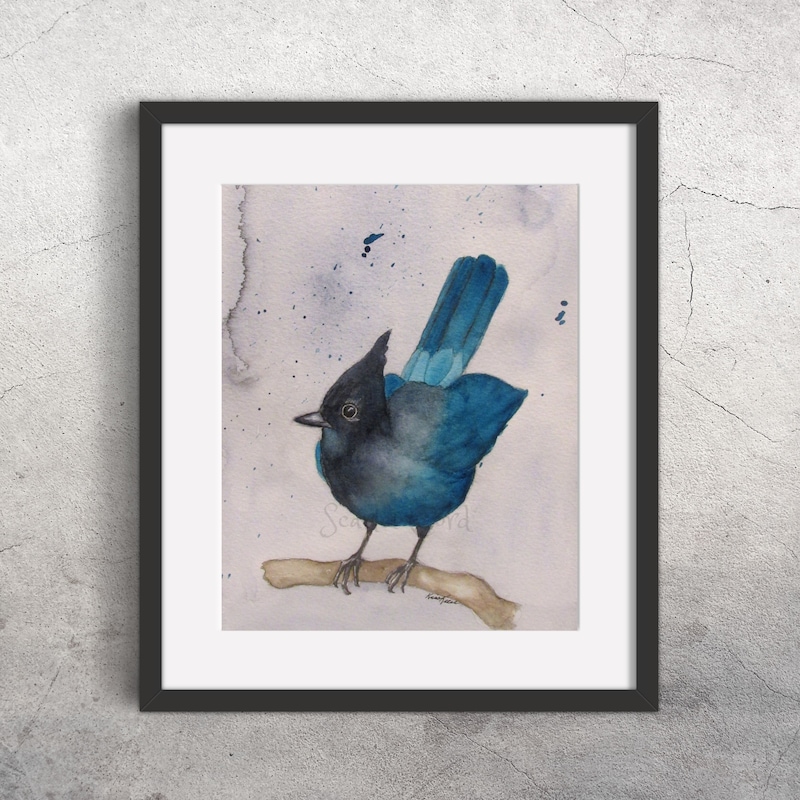 Blue Jay Print - Etsy