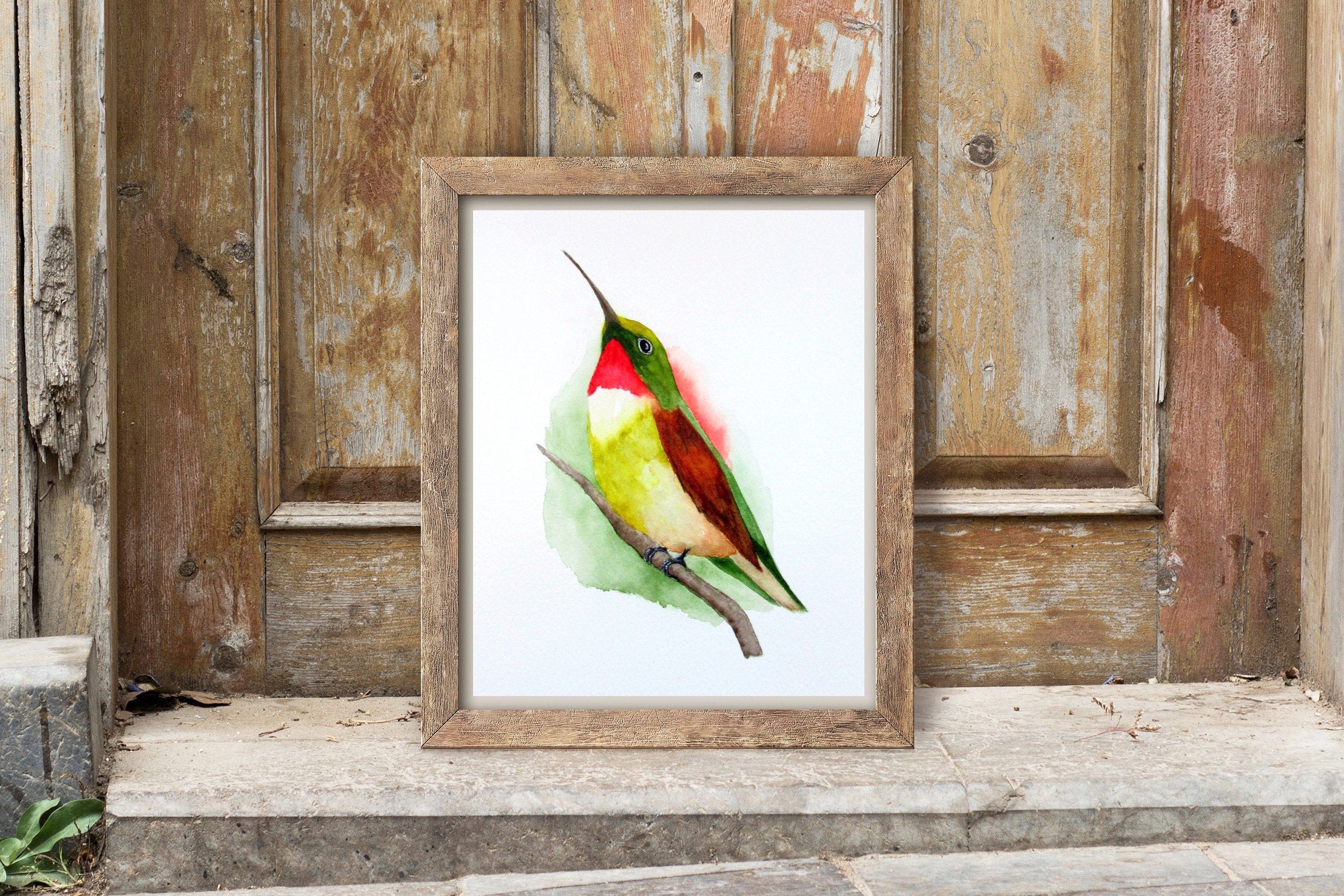 Watercolor Hummingbird Print 4x6 5x7 8x10 11x14 Bird - Etsy