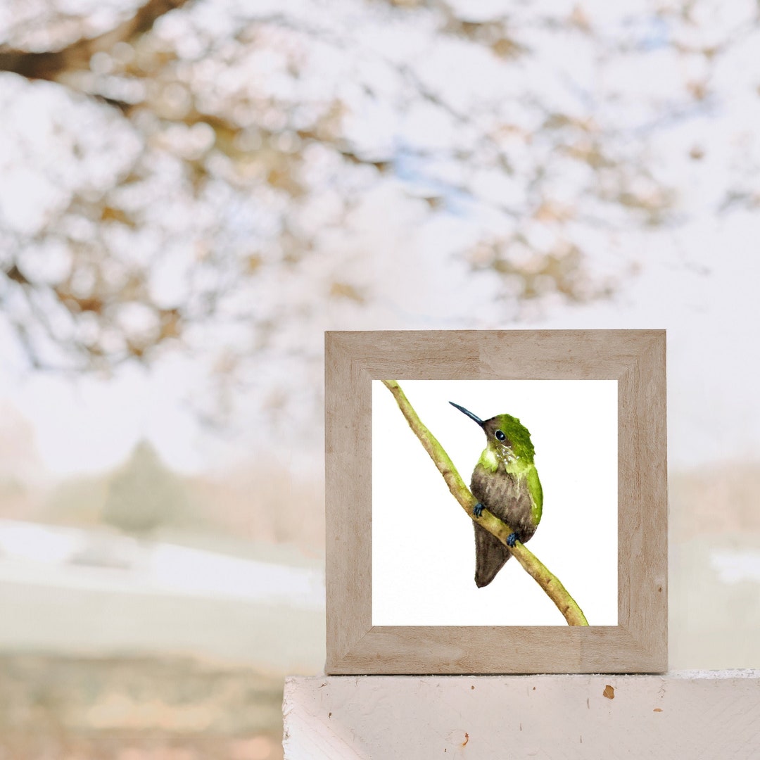 Watercolor Hummingbird Square Print, Abstract Bird Art Wall Decor ...