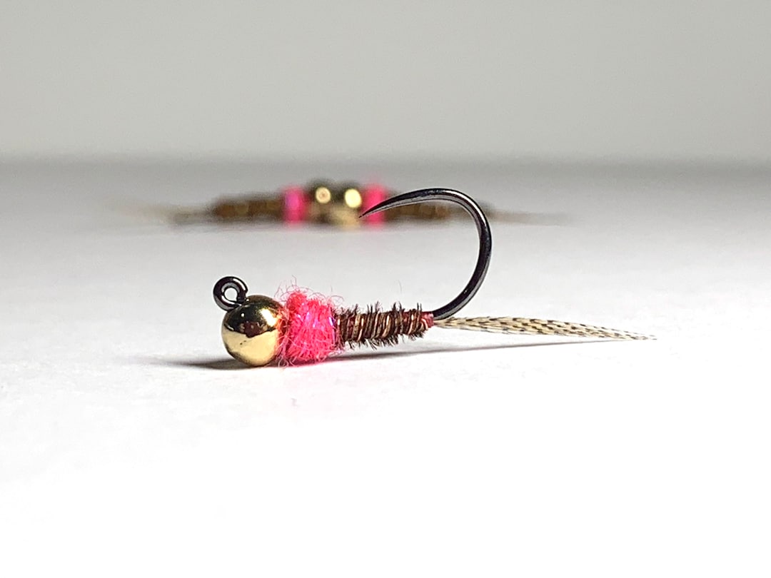 Pink Frenchie Tungsten Jig Nymph - Fly Fishing - Euro Nymphing - Trout ...