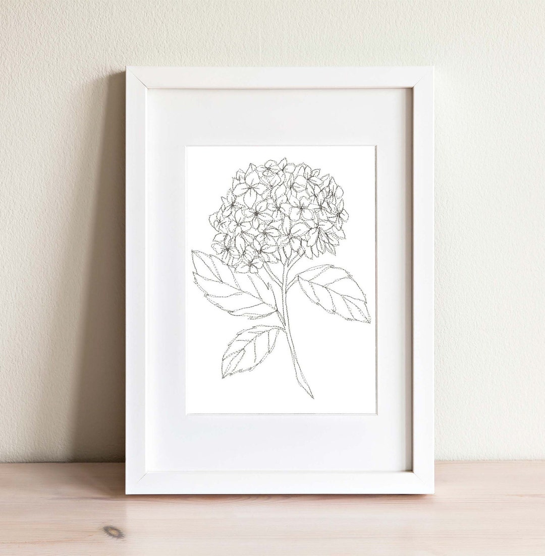 Hydrangea Fine Art Print, Minimal Floral Stitched Line Art for Modern ...