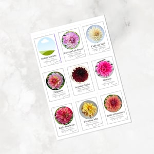 Dahlia Plant ID Card - Canva Template Instant Download - Etsy