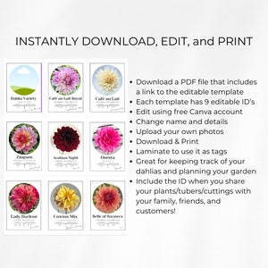 Dahlia Plant ID Card - Canva Template Instant Download - Etsy