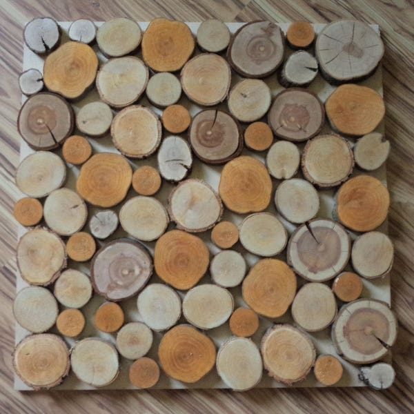 Wood Slice Wall Art - Etsy