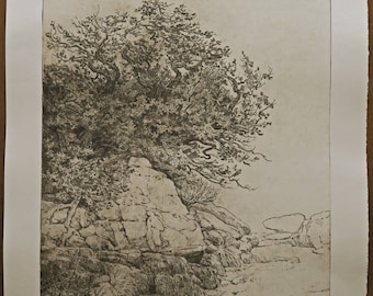 Oak Tree Etching - Etsy