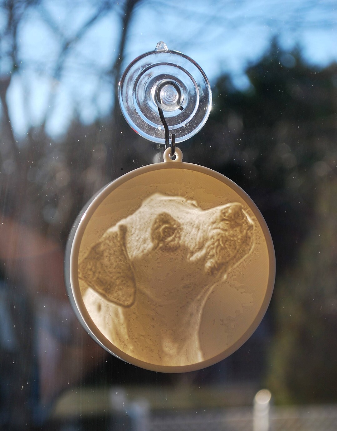 Custom 3D Printed Sun-catcher - Etsy