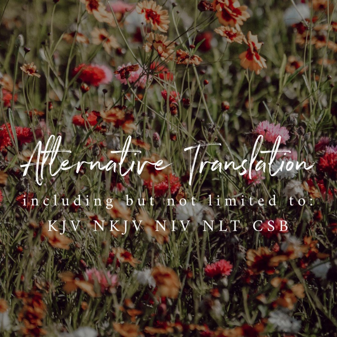 Alternative Bible Translation - Etsy