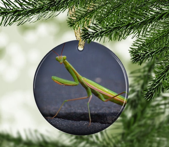 Praying Mantis Ornament Christmas Gift Mantis Insect | Etsy