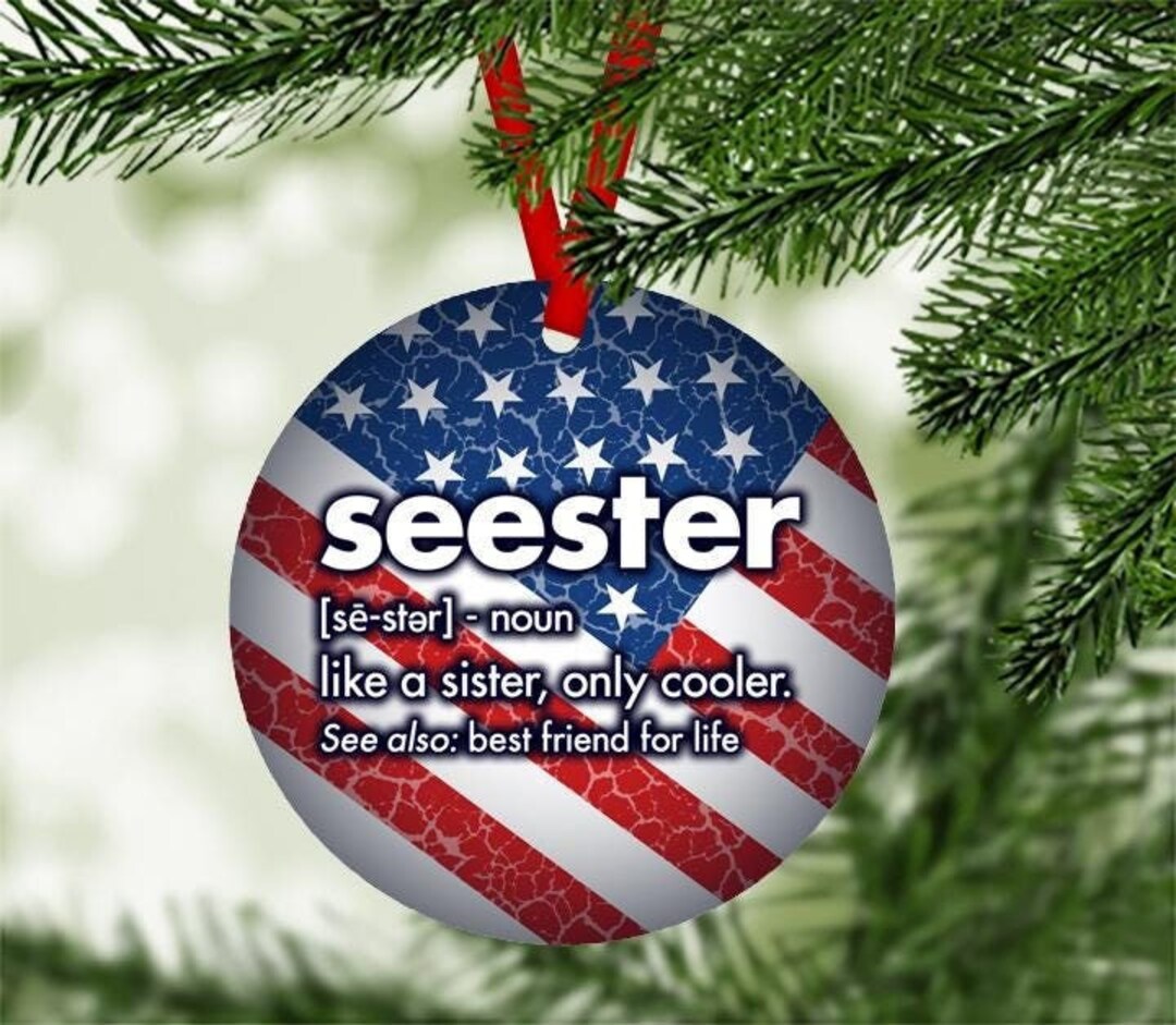 Seester USA Flag Ornament Christmas Gift | USA Flag Gift | Like A ...