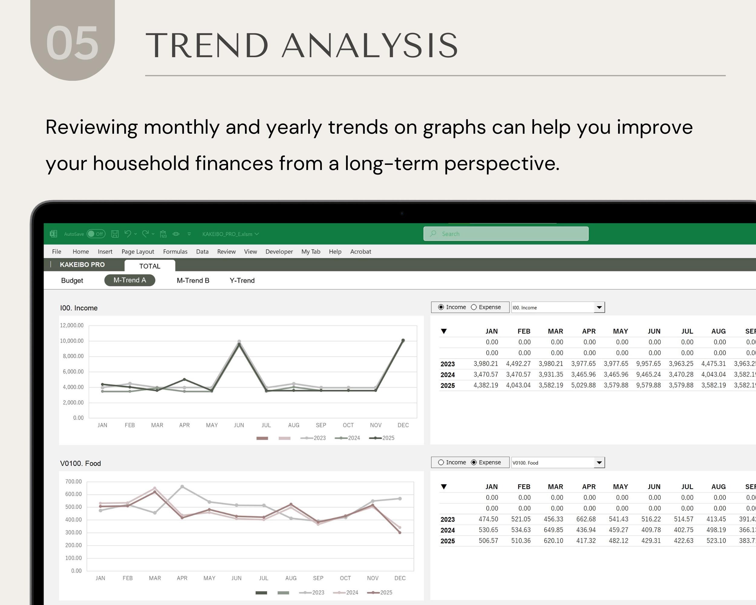 KAKEIBO PRO – Excel Home Budgeting Tool - Etsy
