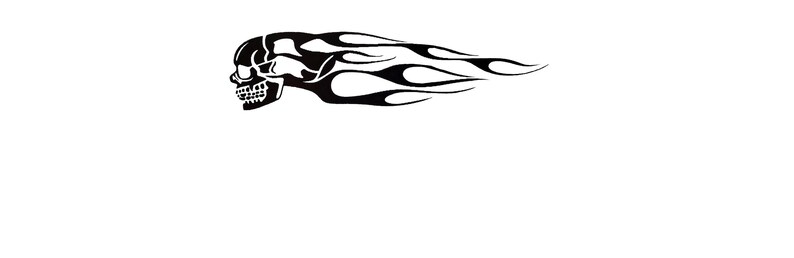 Skull Flames Decal for Side of Vehicle Skull Flames Sticker - Etsy