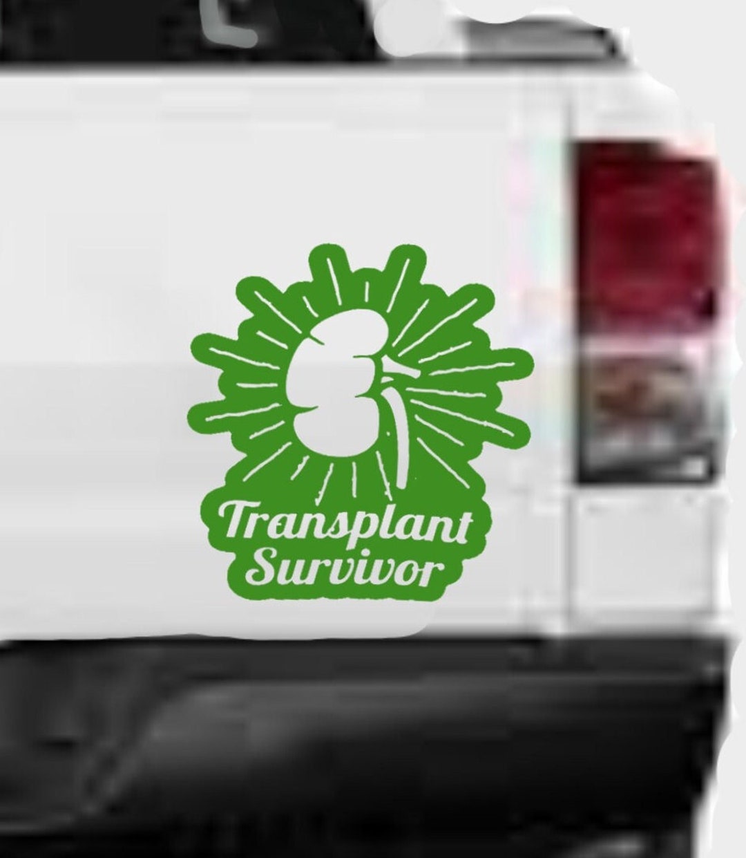 Kidney Transplant Survivor, Kidney Transplant, Donate Life, Donate ...