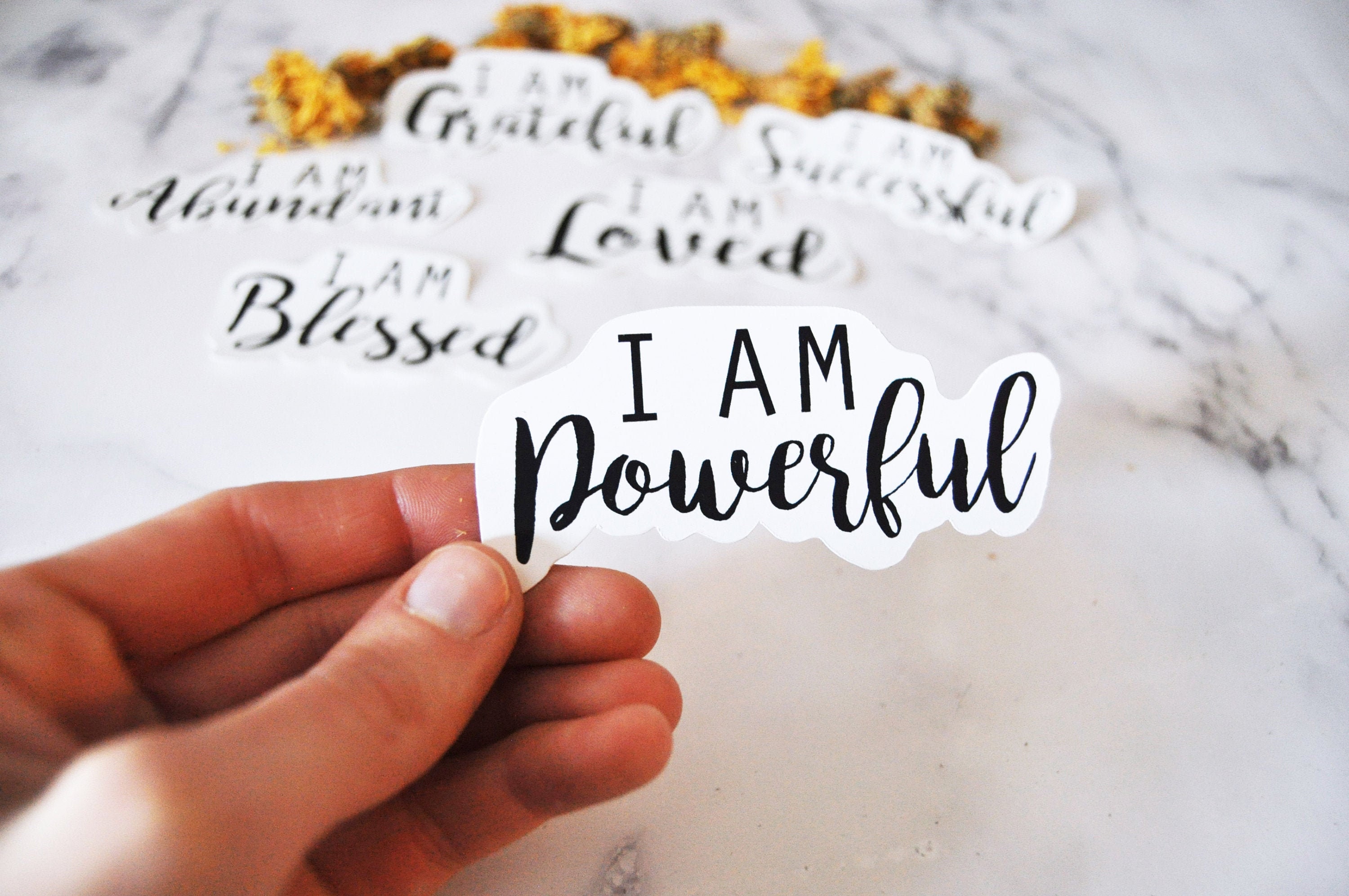 Set of 6 I am Affirmation stickers positive affirmation | Etsy