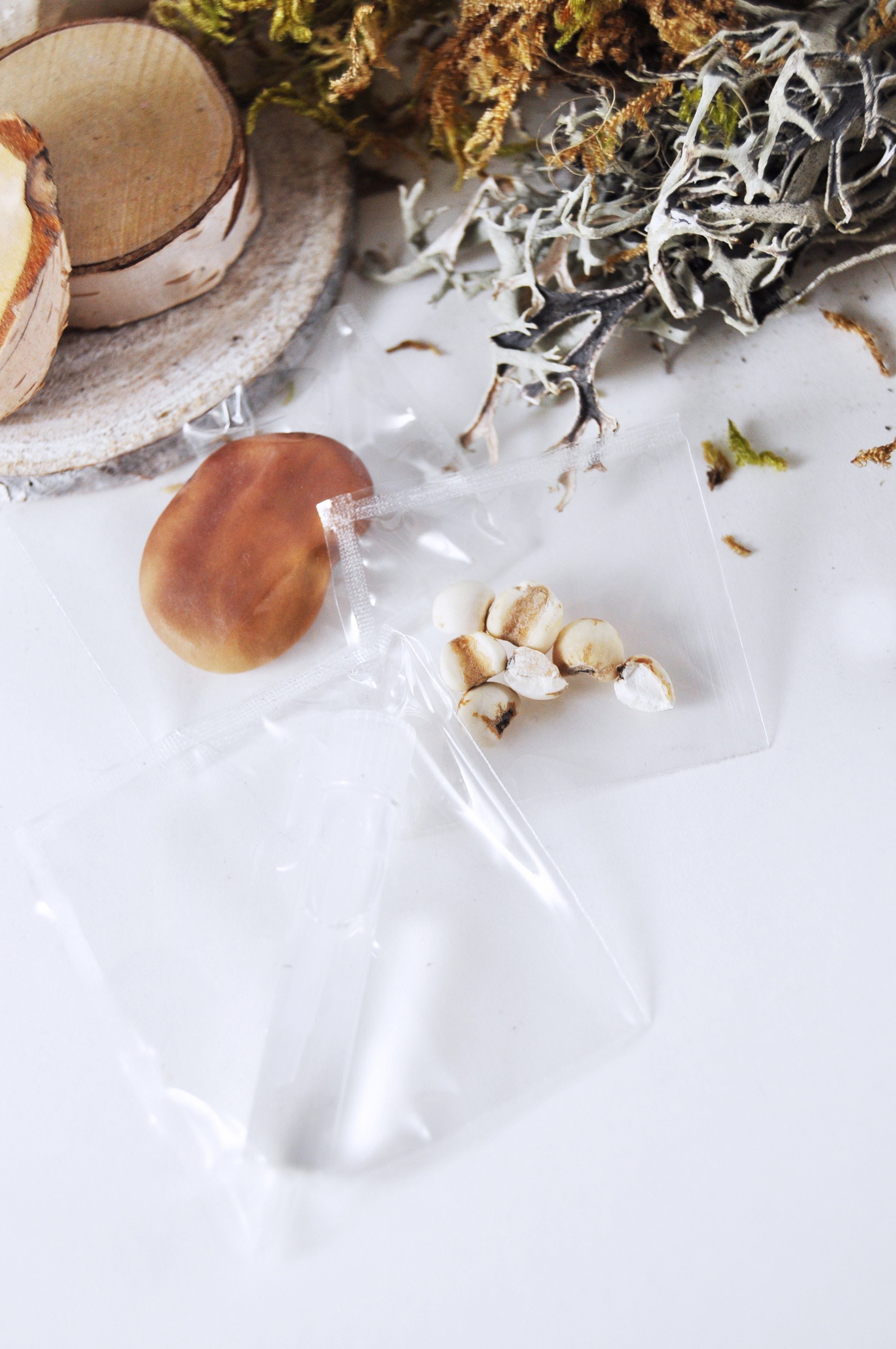 Genie Spell Kit Dreamy Kit Witchcraft Magick Kit Witch | Etsy