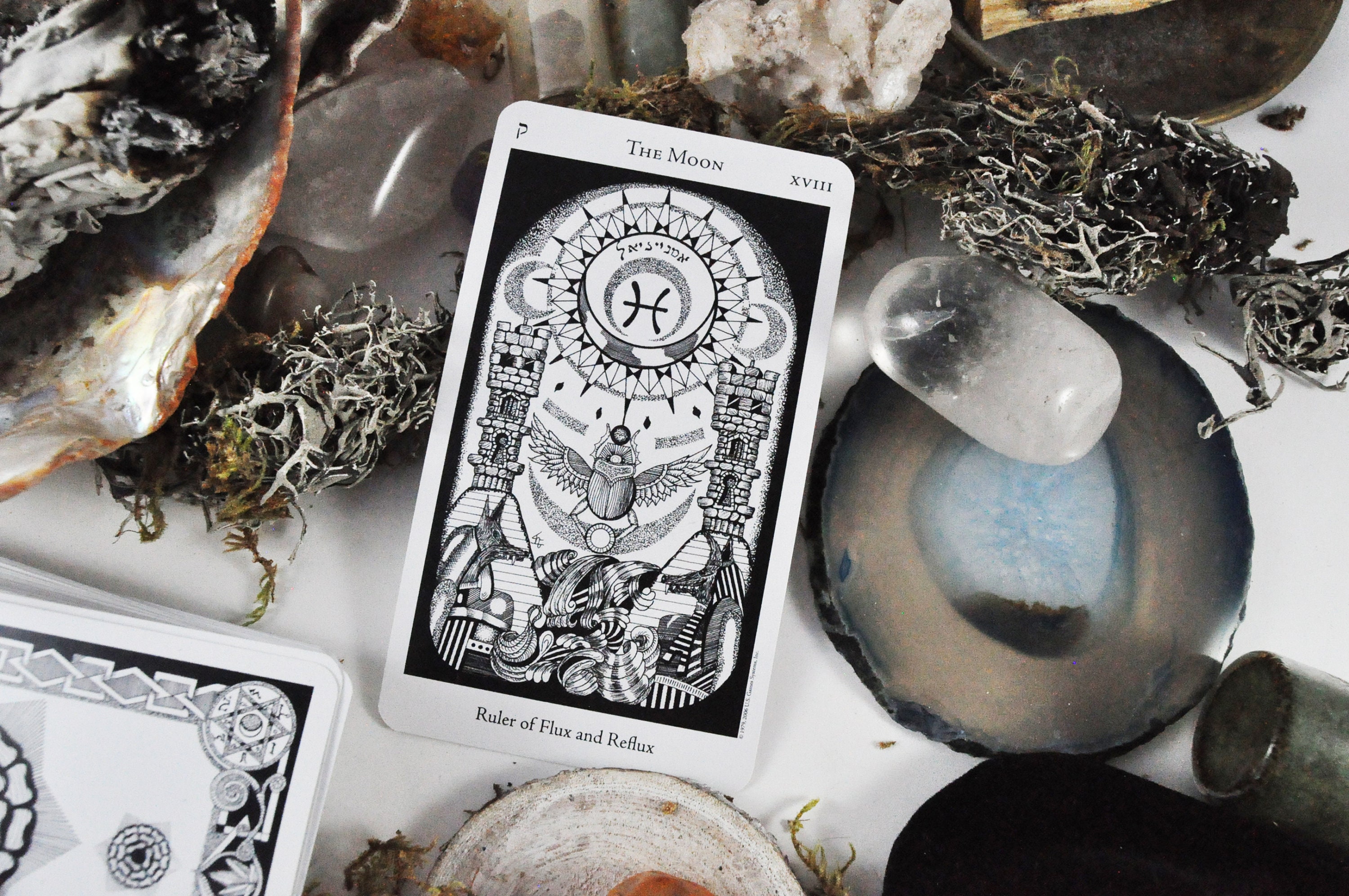 Is Yes Or No Tarot Accurate Plzomni