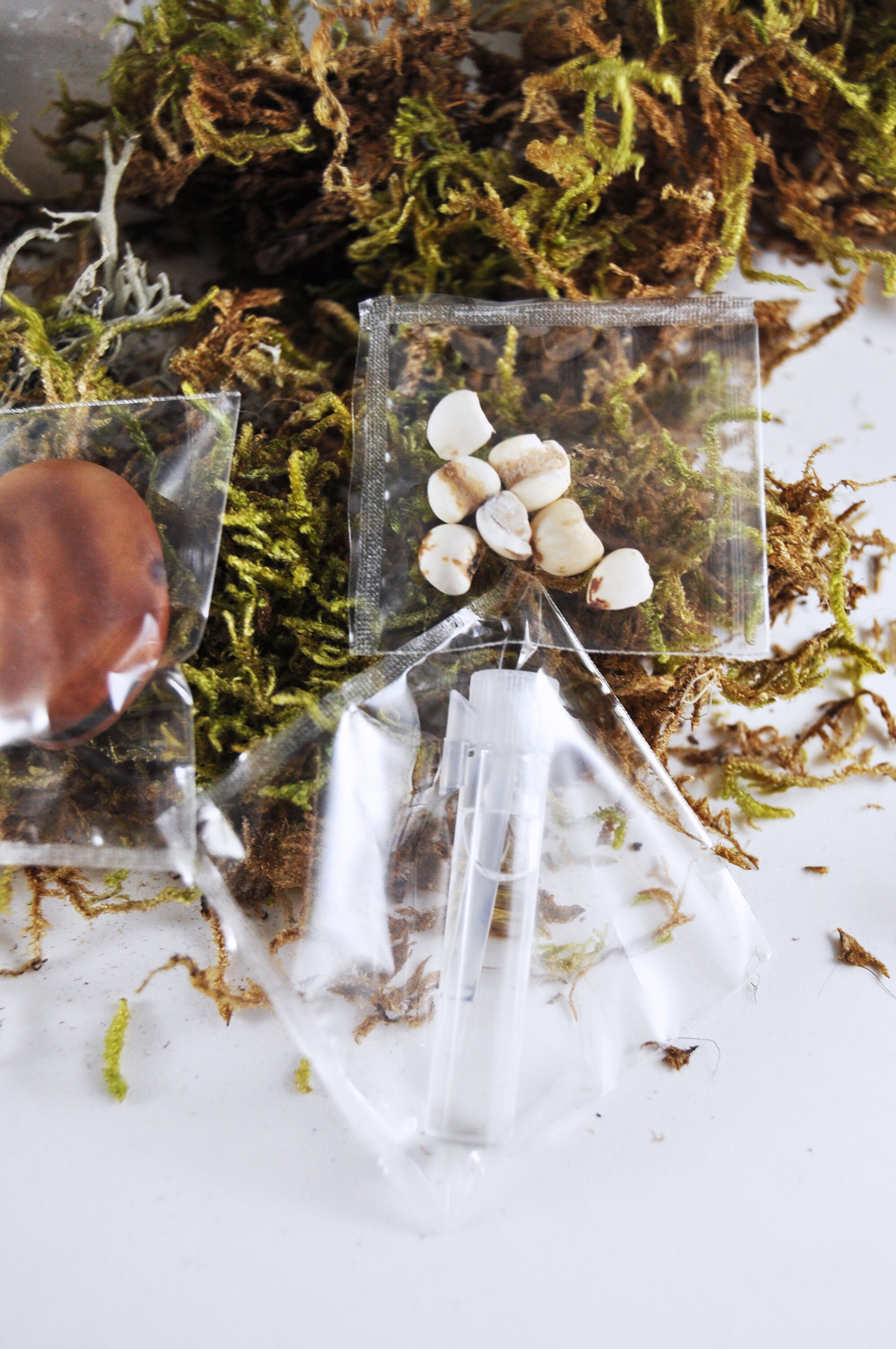 Genie Spell Kit Dreamy Kit Witchcraft Magick Kit Witch | Etsy