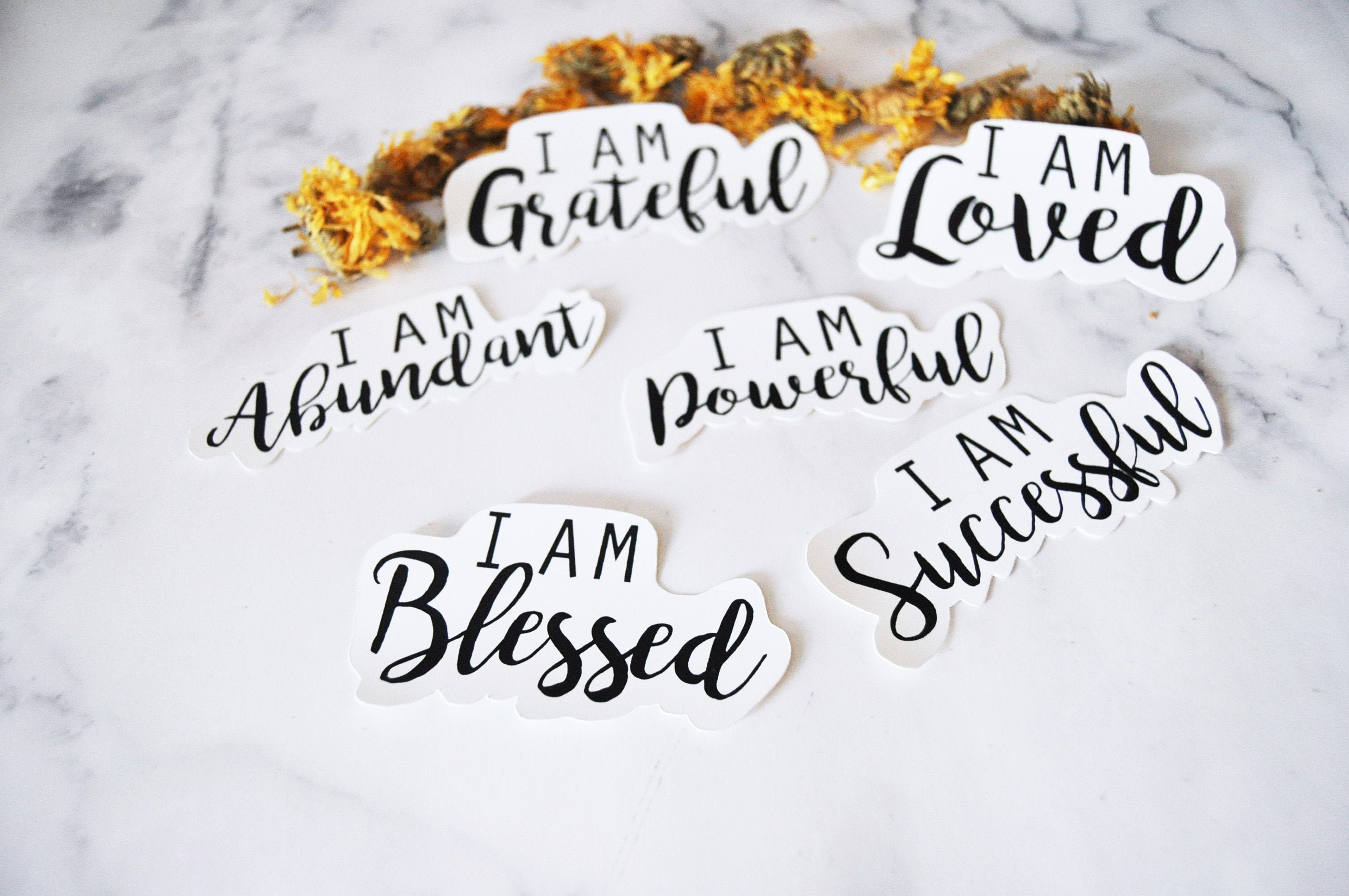 Set of 6 I am Affirmation stickers positive affirmation | Etsy