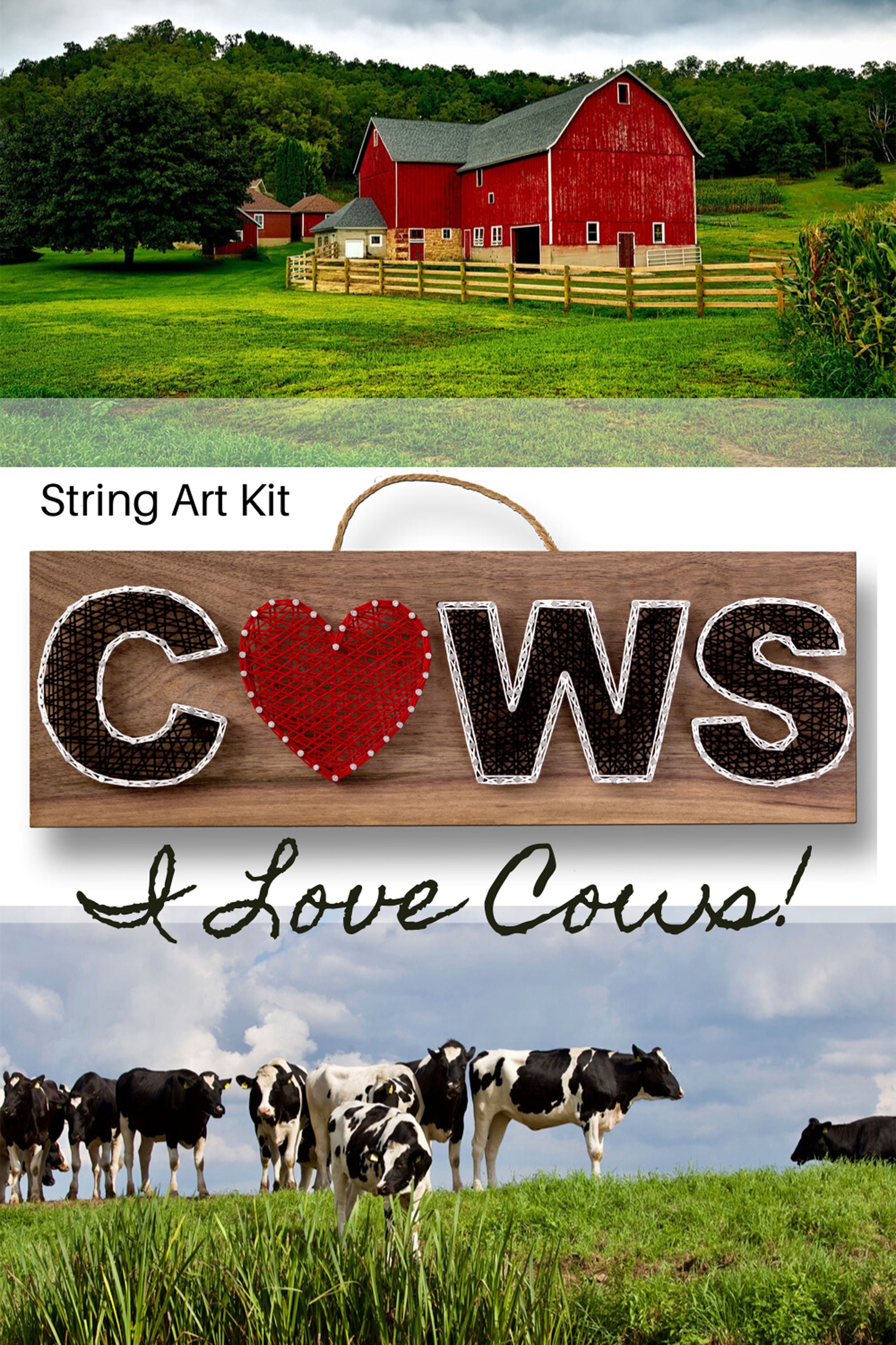 15 x 5 COWS String Art Kit DIY Adult Craft | Etsy