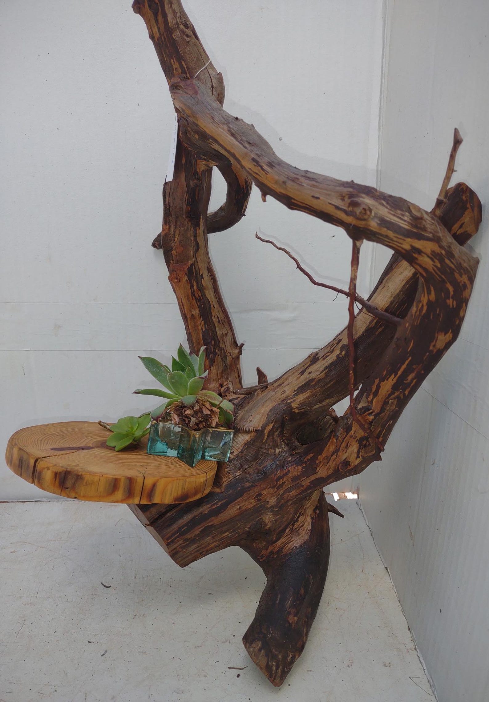Manzanita Stump With Sequoia Wood Wall Décor Shelf - Etsy