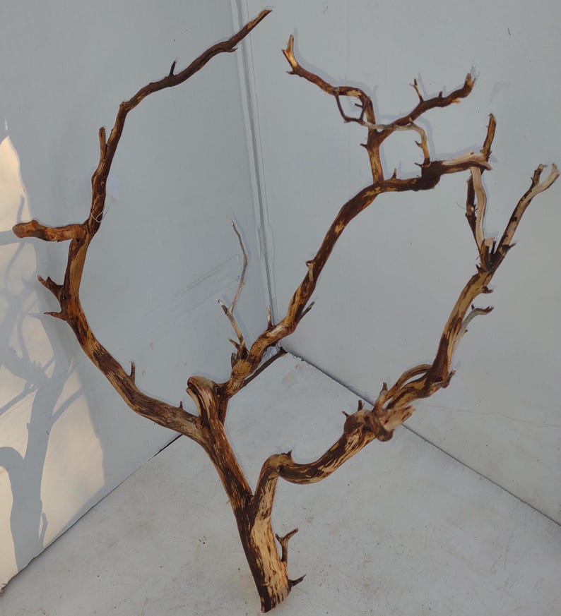 Manzanita Driftwood Aquarium Terrarium Reptile Décor Branch - Etsy