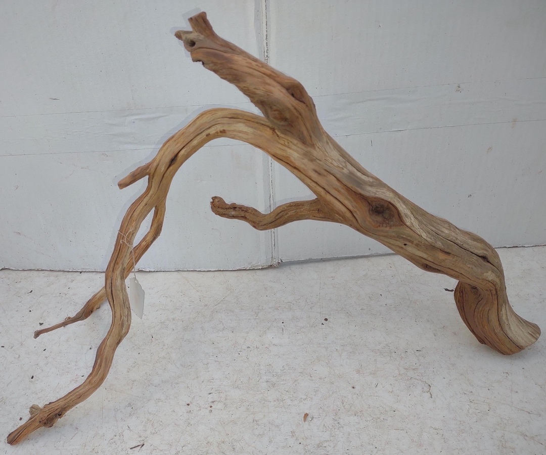 Manzanita Driftwood Aquarium Terrarium Reptile Décor Branch - Etsy
