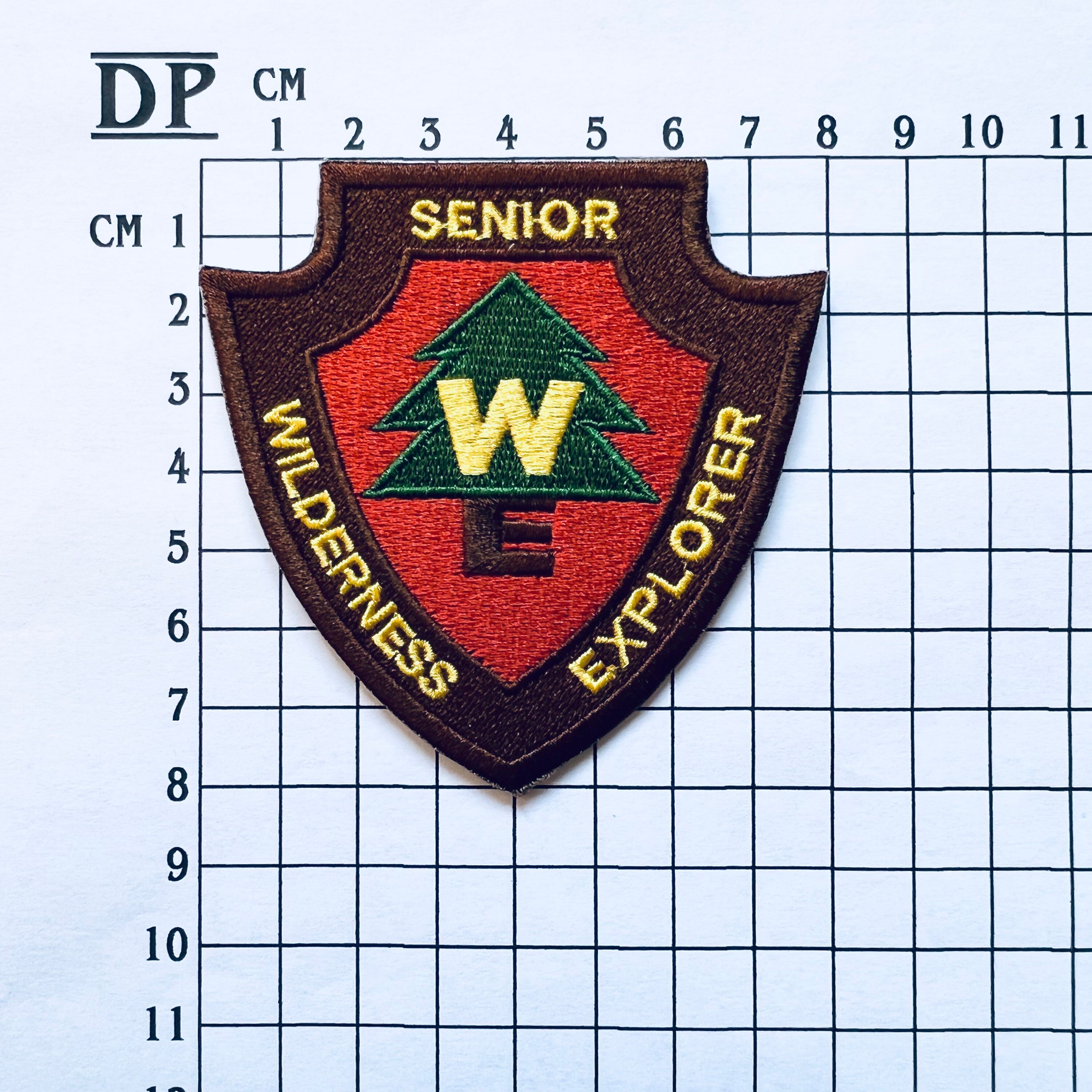 Up Movie Russell Costume Boy Scout Embroidered Sew on Iron on Patch ...