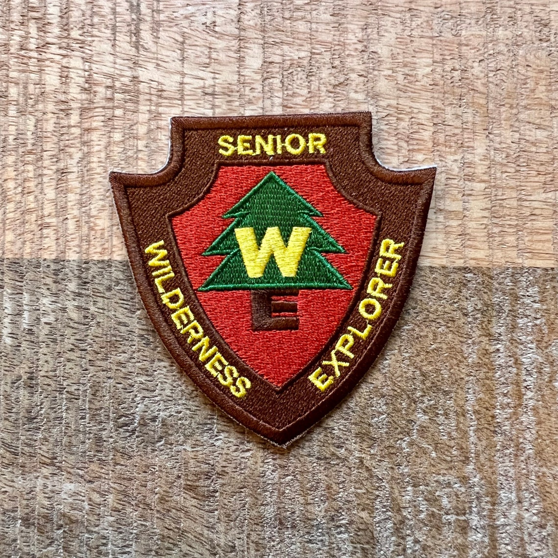 Up Movie Russell Costume Boy Scout Embroidered Sew on Iron on Patch ...