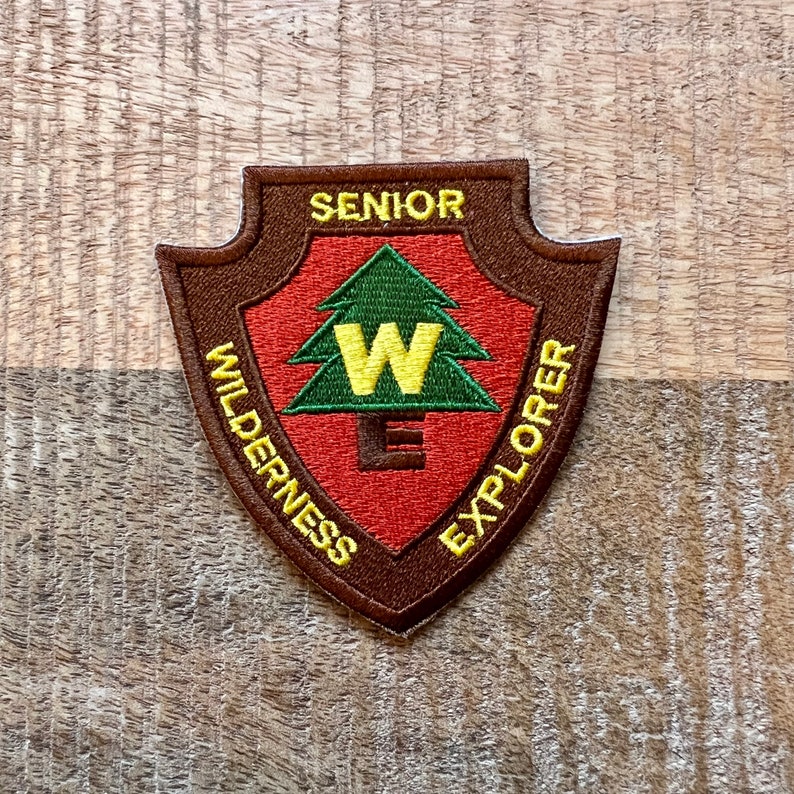 Up Movie Russell Costume Boy Scout Embroidered Sew on Iron on Patch ...