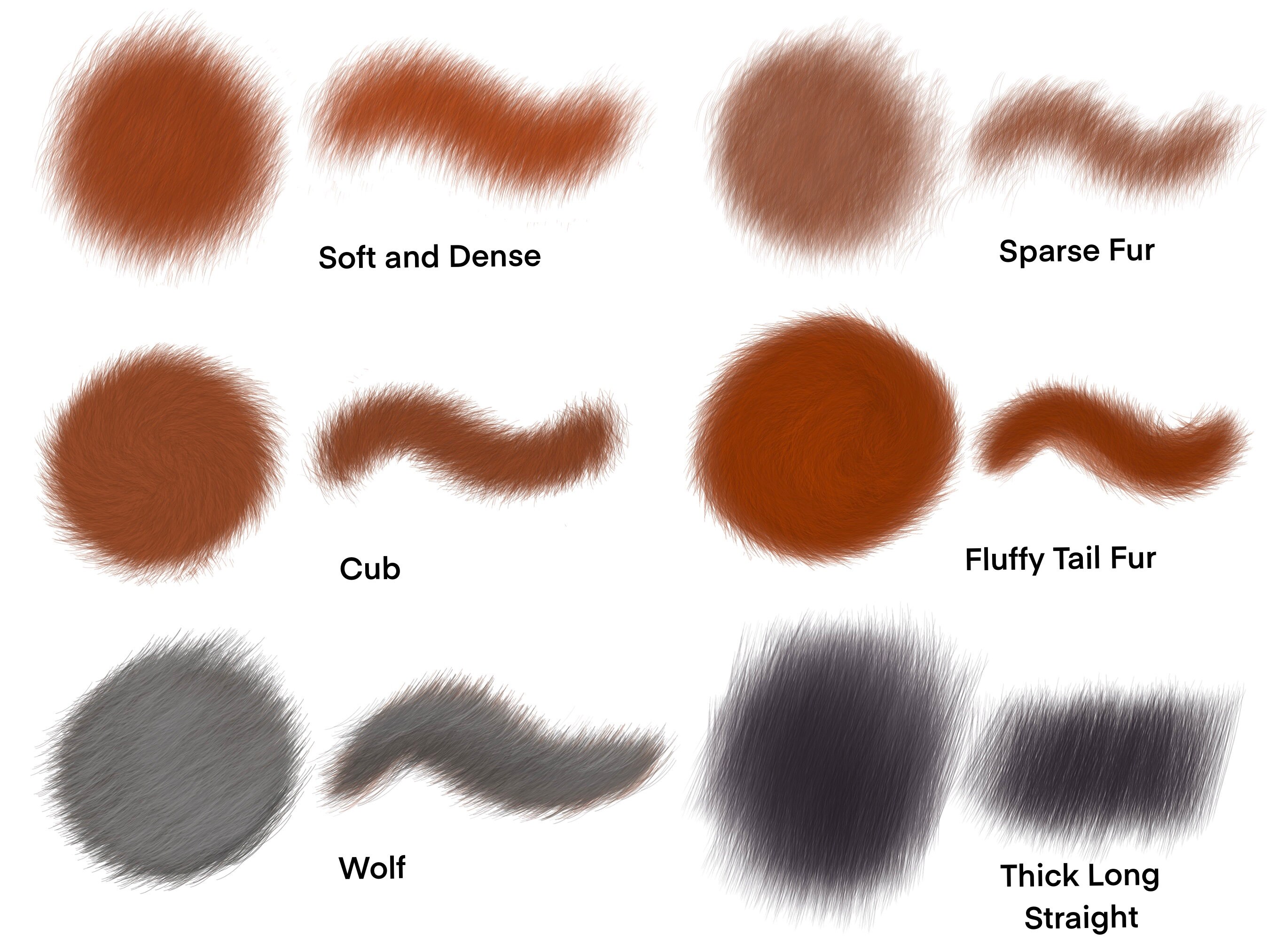 Fur Brushes for Procreate - Realistic Animal Fur Brushes for Procreate ...