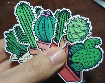 Cactus stickers | Etsy