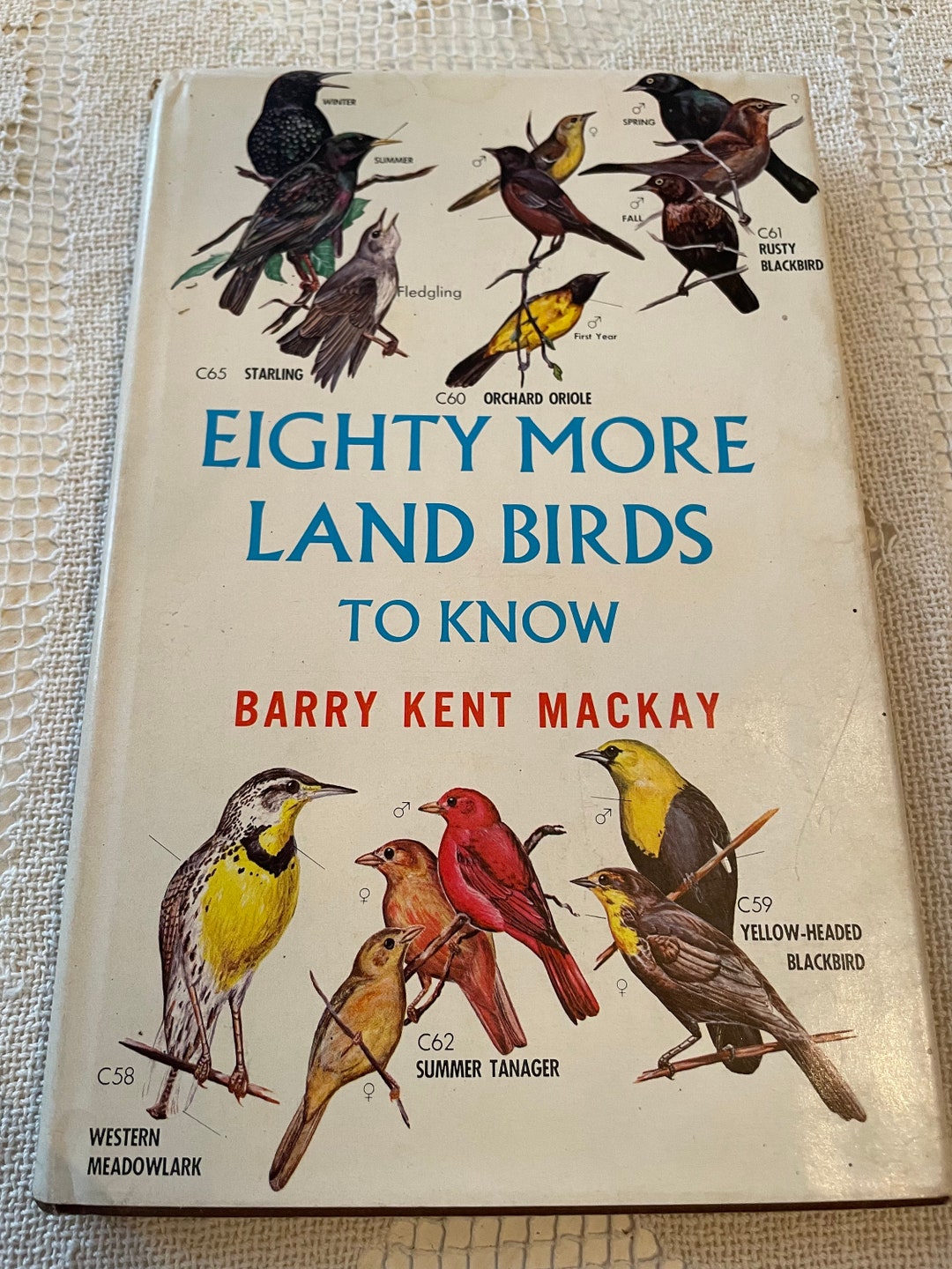 Vintage Bird Book “ Eighty More Land Birds to Know” by Barry Kent ...
