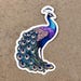 Handmade Peacock Sticker: Waterproof Die Cut Decal - Etsy