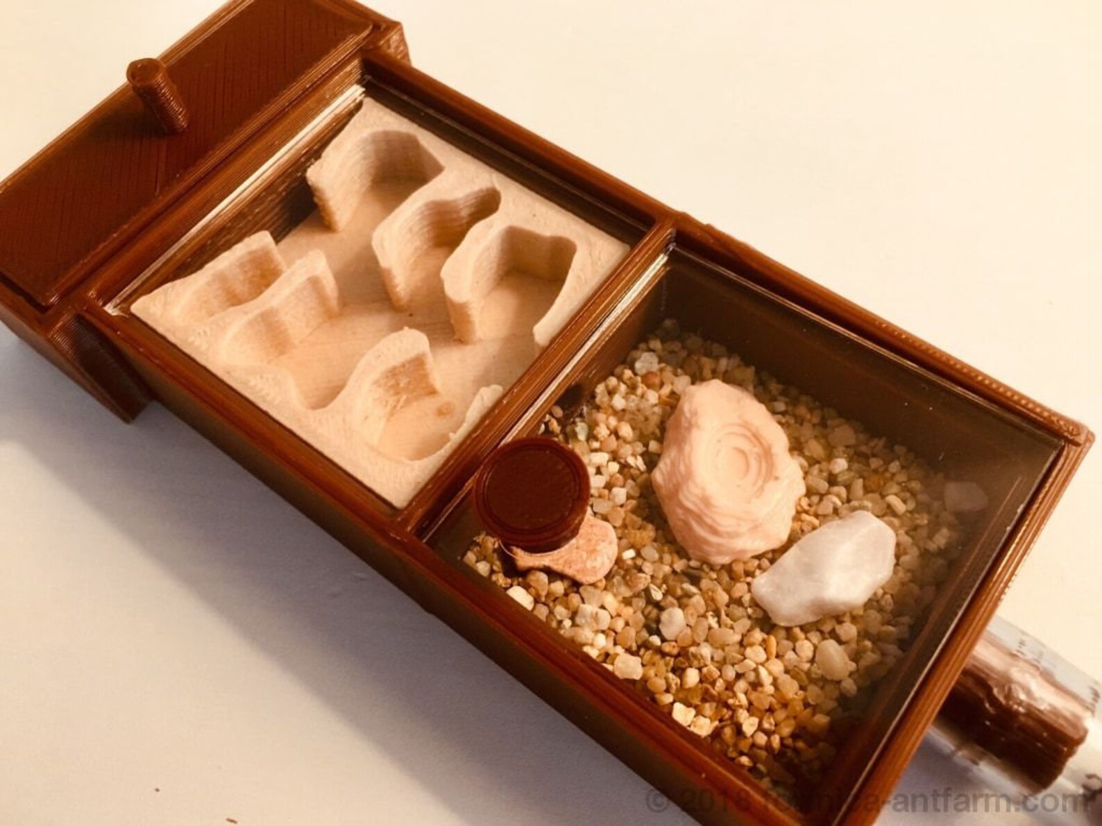 Ant Colony Founding Kit Nest Chamber Size (see Image): Medium - Premium ...