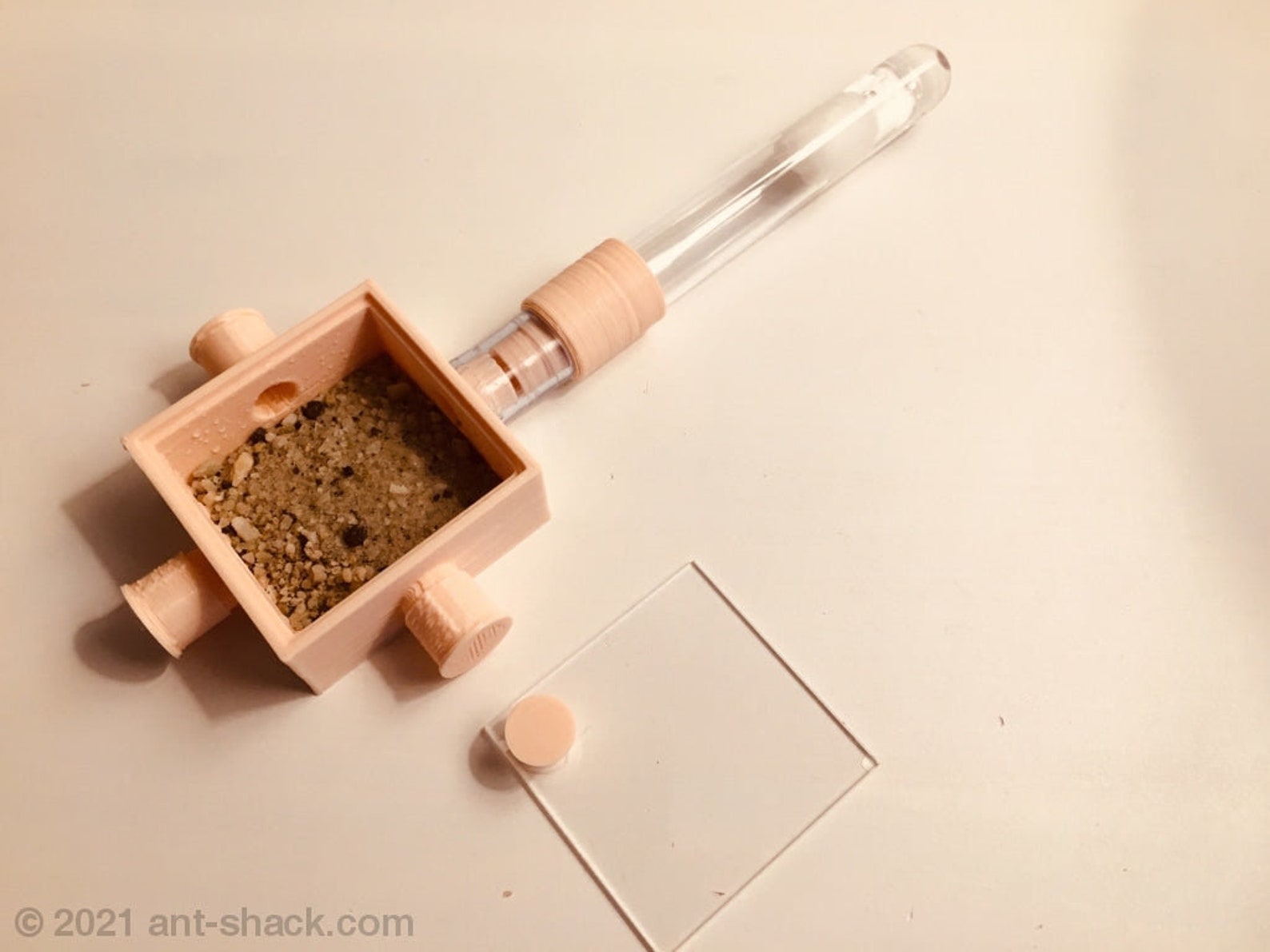 Ant Colony Starter Kit I - Premium Ant Nest Formicarium Kit - Etsy