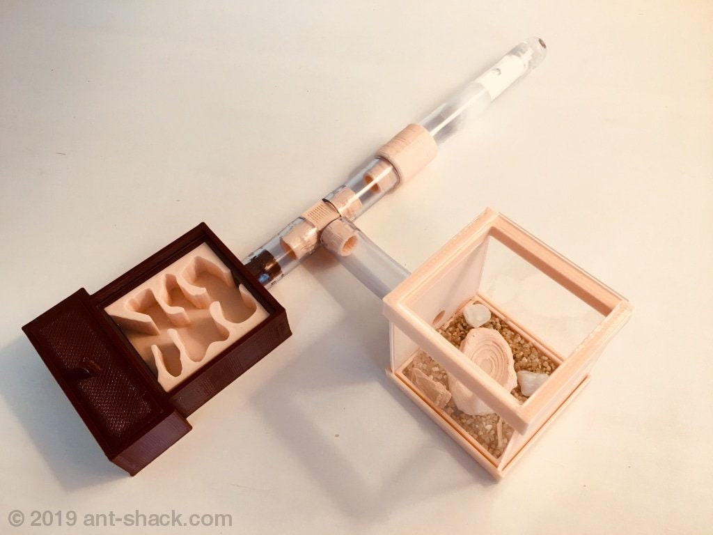 Natural Ant Habitat Starter Kit - Etsy