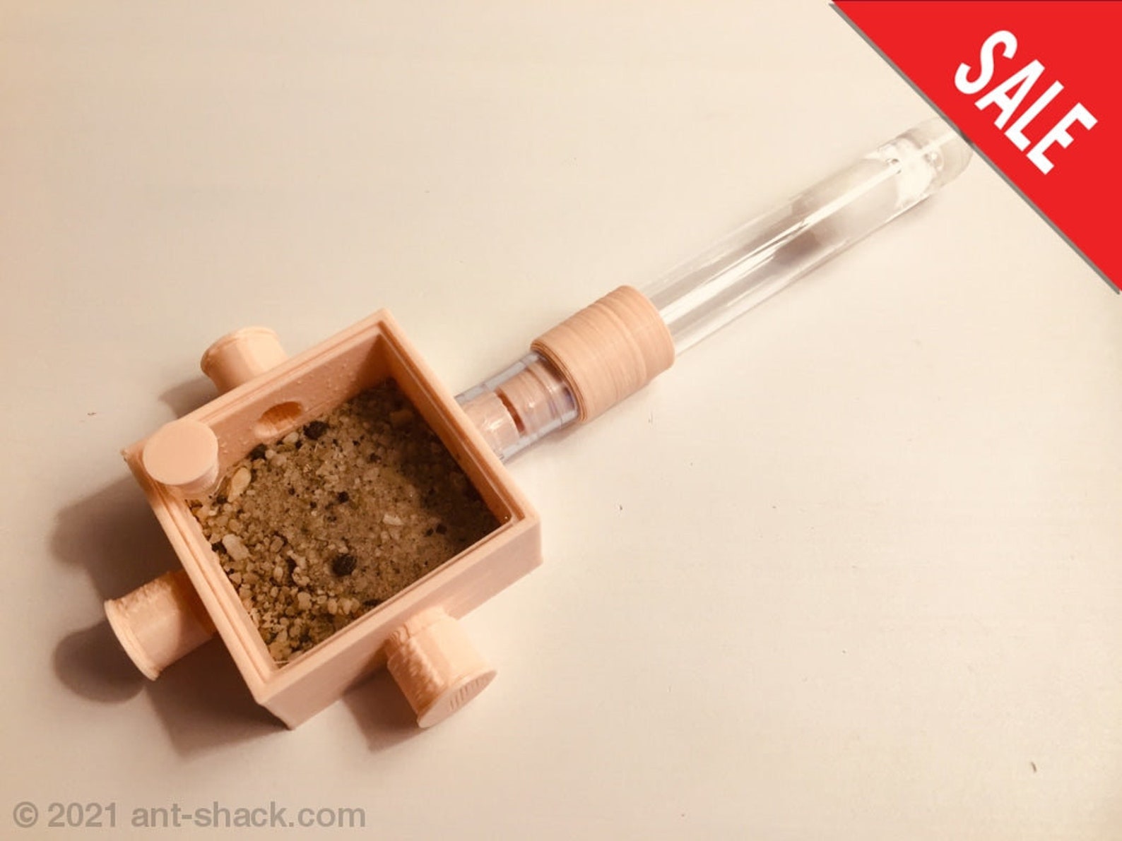 Ant Colony Starter Kit I - Premium Ant Nest Formicarium Kit - Etsy