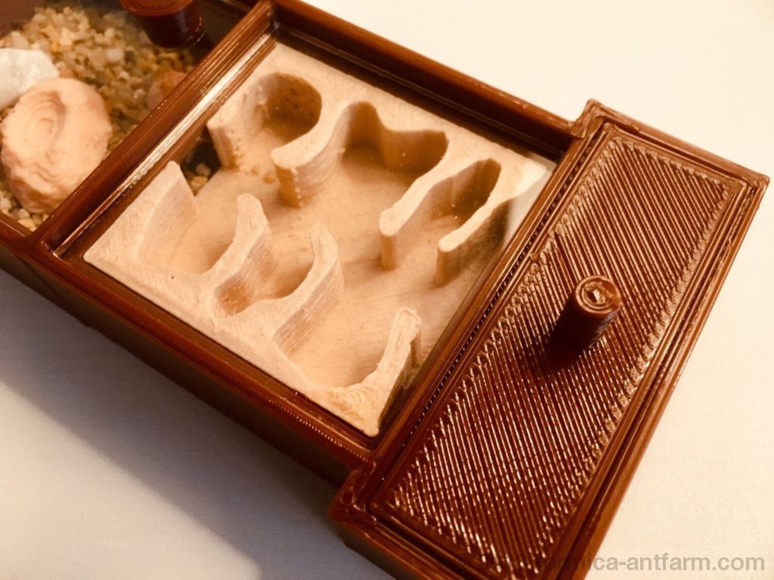 Ant Colony Founding Kit Nest Chamber Size (see Image): Medium - Premium ...