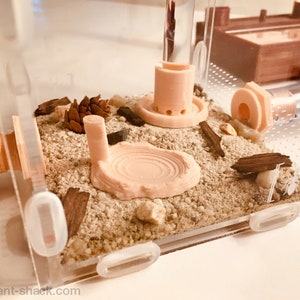 Ant Habitat Kit harvester Ants Premium Ant Nest - Etsy