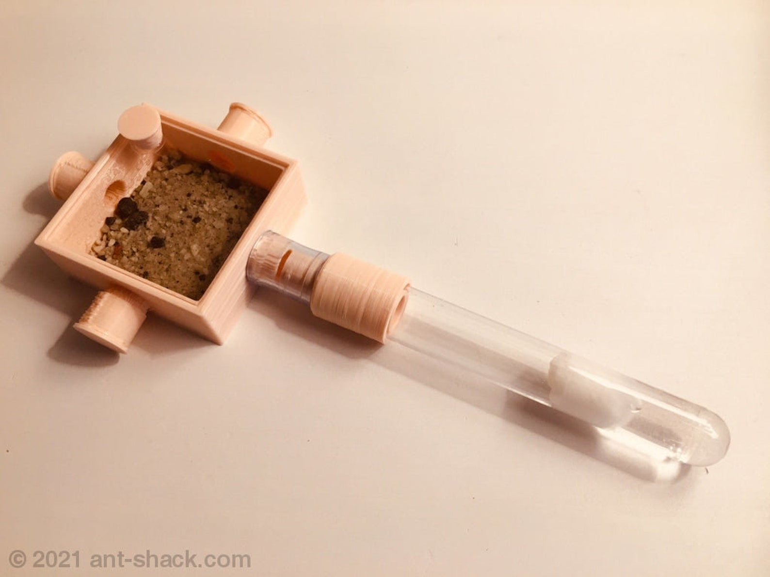 Ant Colony Starter Kit I - Premium Ant Nest Formicarium Kit - Etsy