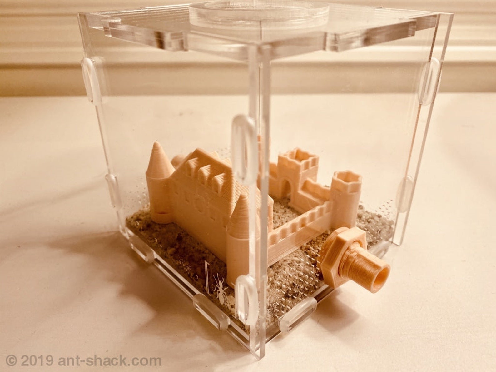 Medium Ant Outworld Kit castle Premium Ant Nest - Etsy