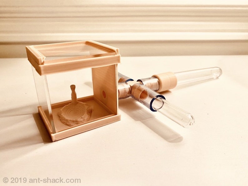 Ant Colony Starter Kit III Premium Ant Nest Formicarium Kit | Etsy