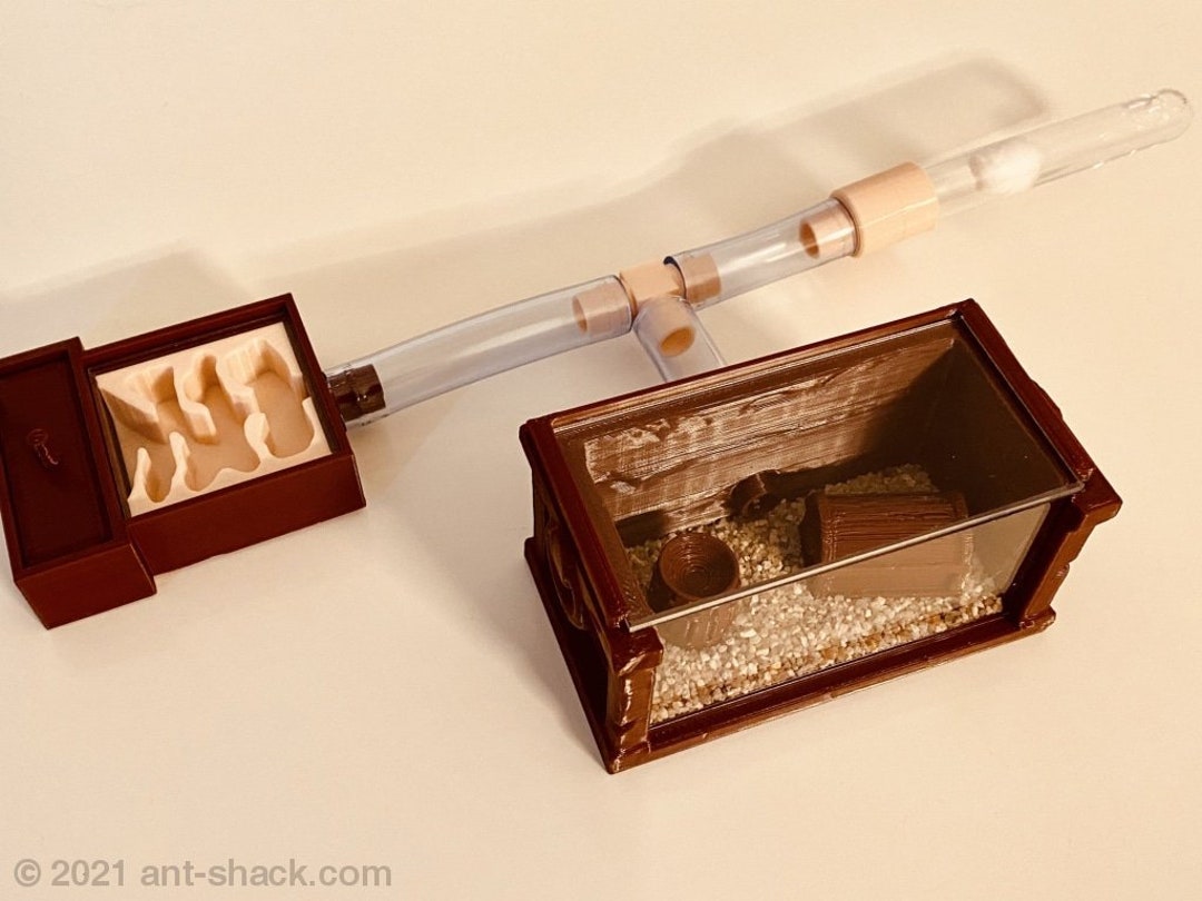 Complete Ant Habitat Kit pirates Den - Etsy