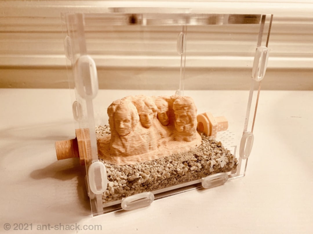 Medium Ant Outworld Kit "mount Rushmore" - Premium Ant Nest Formicarium ...