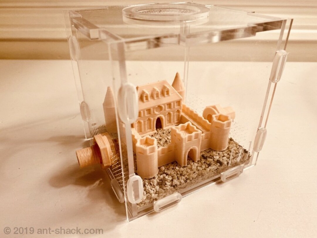 Medium Ant Outworld Kit castle Premium Ant Nest - Etsy