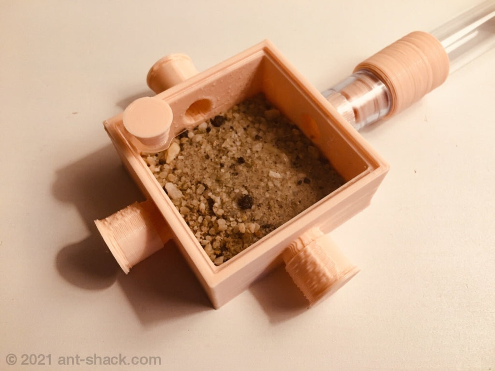 Ant Colony Starter Kit I Premium Ant Nest Formicarium Kit - Etsy