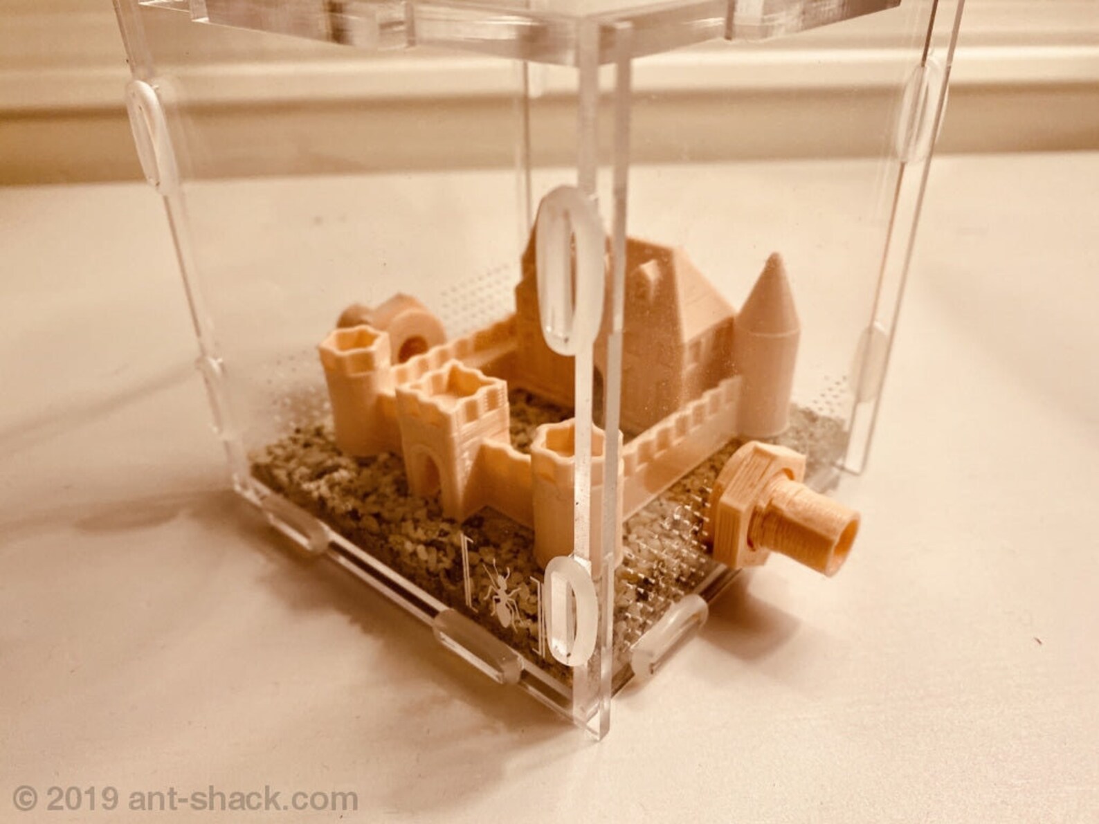 Medium Ant Outworld Kit castle Premium Ant Nest - Etsy