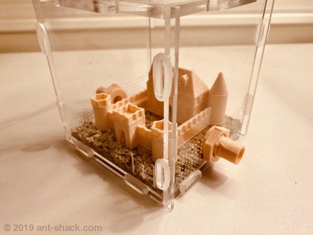 Medium Ant Outworld Kit "castle" - Premium Ant Nest Formicarium Kit - Etsy