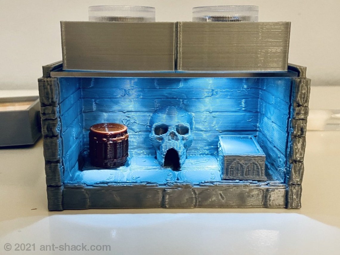 Complete Ant Habitat Kit the Dungeon Premium Ant - Etsy