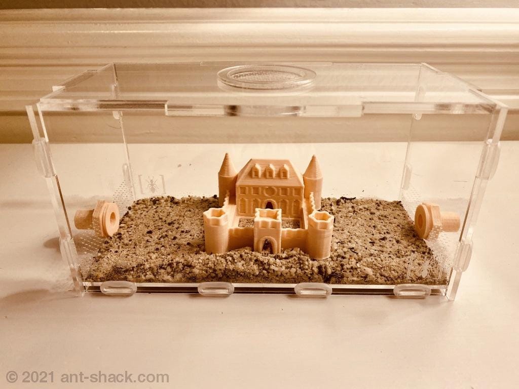 Large Ant Outworld Kit "castle" - Premium Ant Nest Formicarium Kit - Etsy
