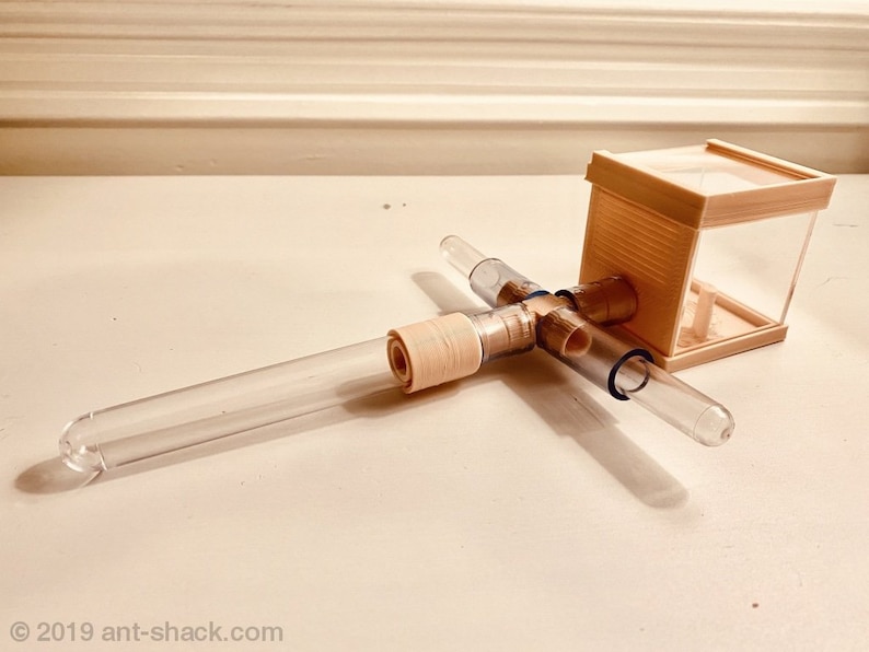 Ant Colony Starter Kit III Premium Ant Nest Formicarium Kit | Etsy